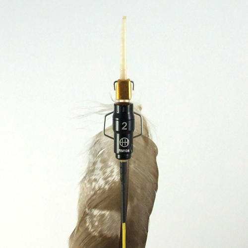 Tail Mount Crimp On Type - Falconry Electronics