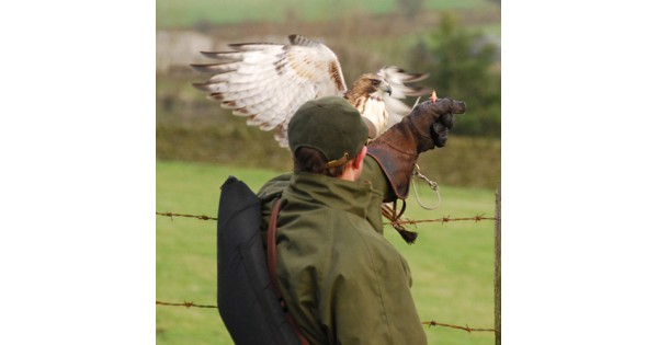 Carry Case Padded For Receiver With Standard Folding Yagi - Falconry Electronics